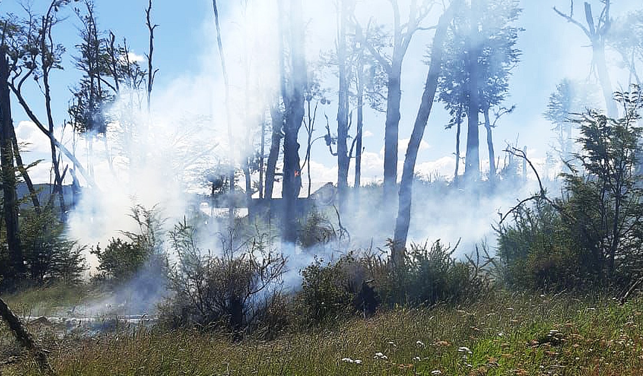 Un fogón mal apagado provocó un incendio - Diario El Sureño