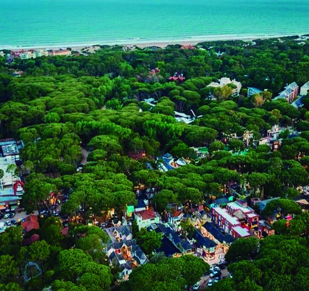 Cariló, bosque, dunas y playa, inolvidable lugar, perfecto para ...