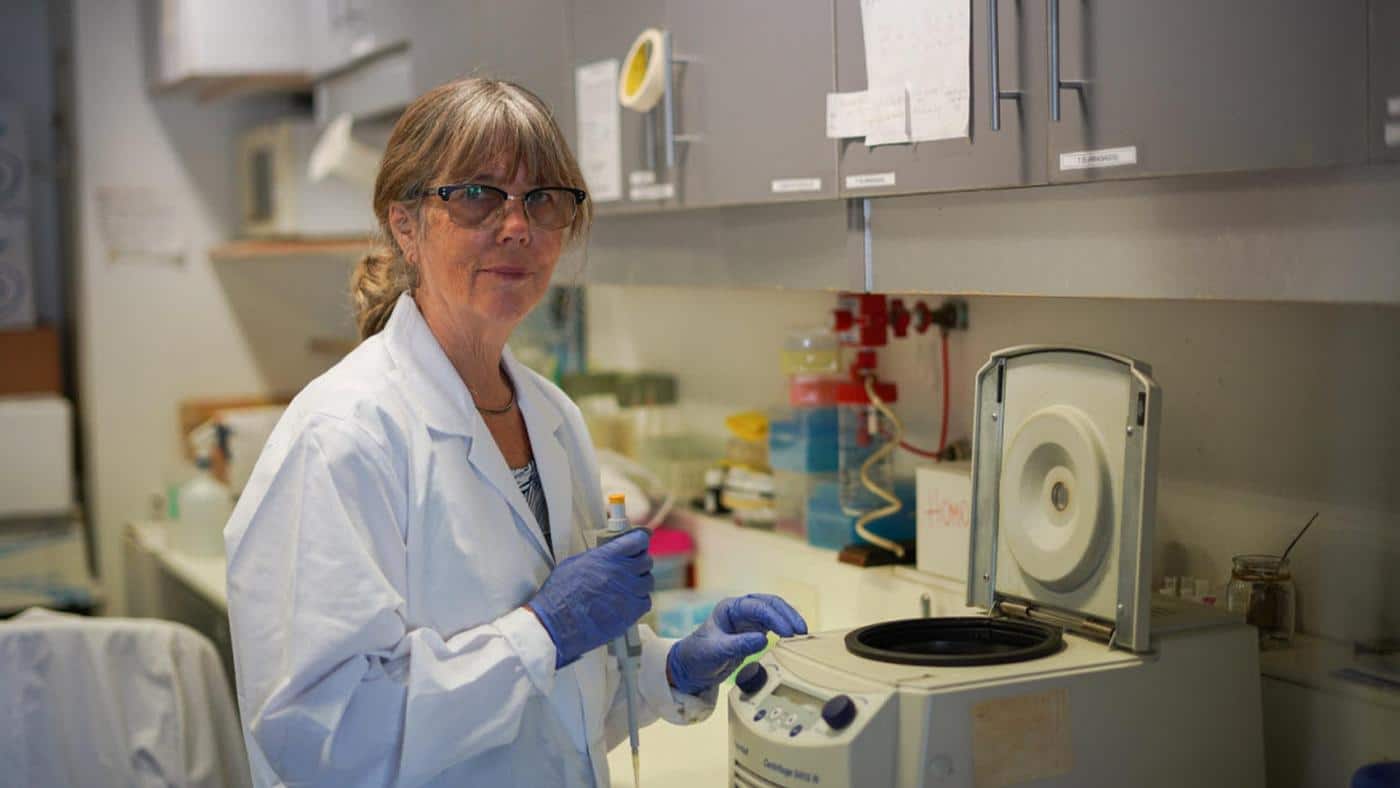 Una motivación para las mujeres en la ciencia - Diario El Sureño