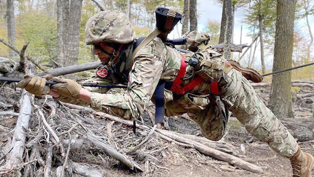 El BIM 5 realizó una campaña de adaptación al monte austral - Diario El ...