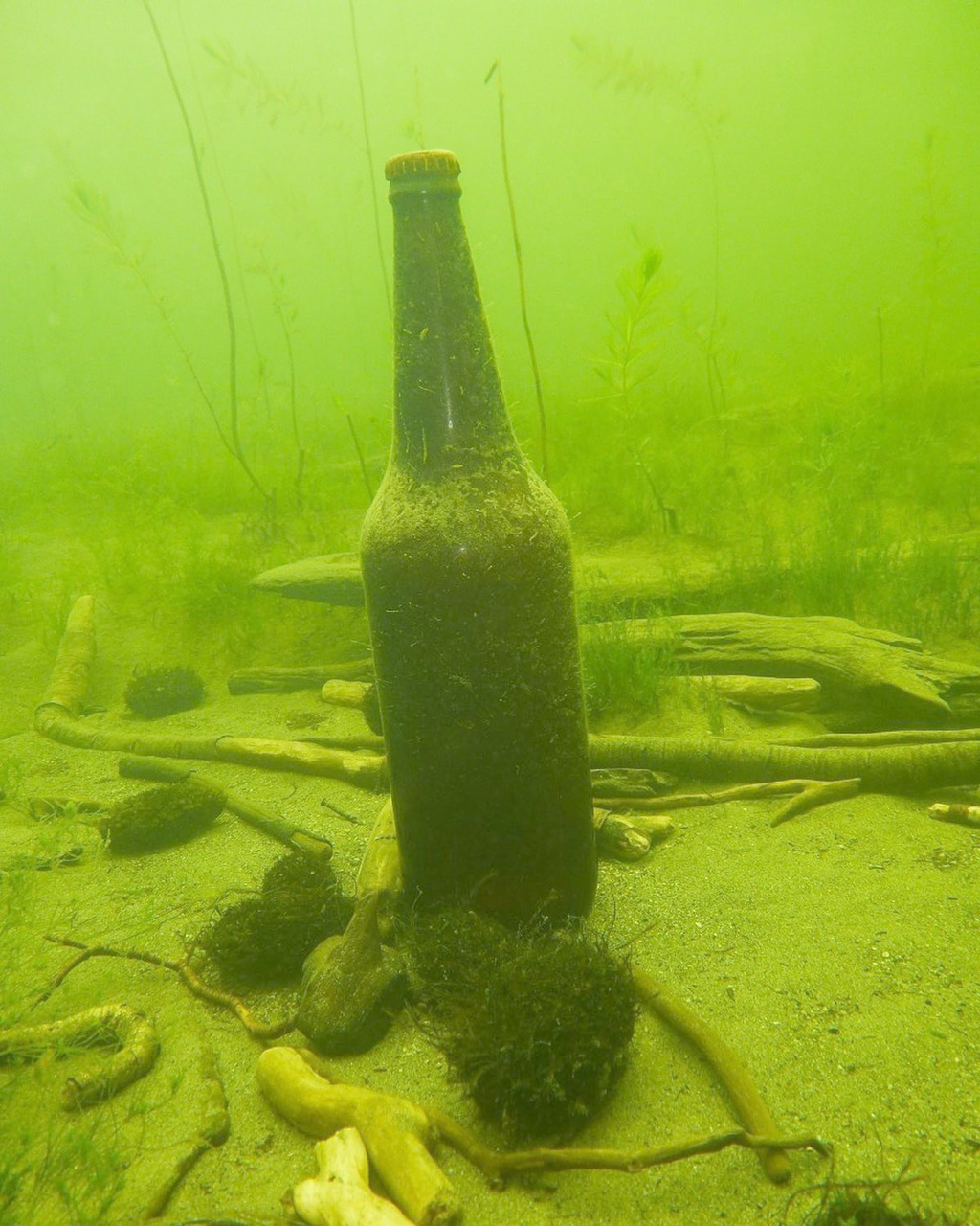 Limpiarán el lecho submarino del canal Beagle - Diario El Sureño