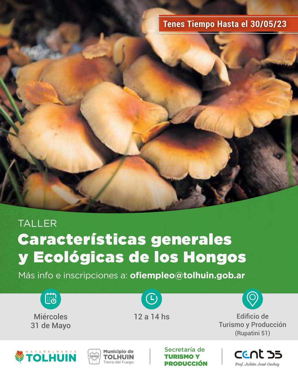 Taller: “Características generales y ecológicas de los hongos” - Diario ...