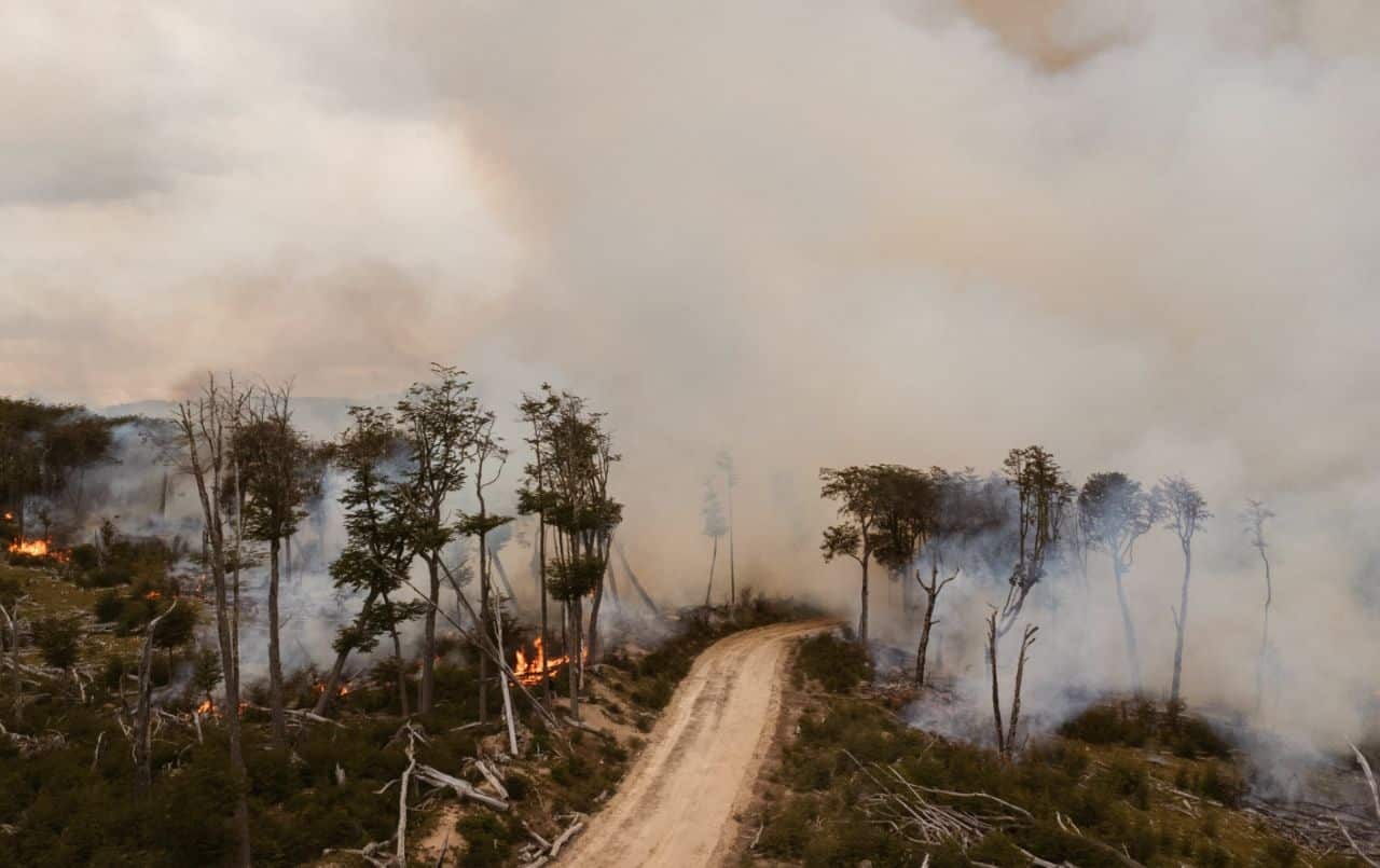 “Es necesario entender que el riesgo de hacer fuego es enorme” - Diario ...