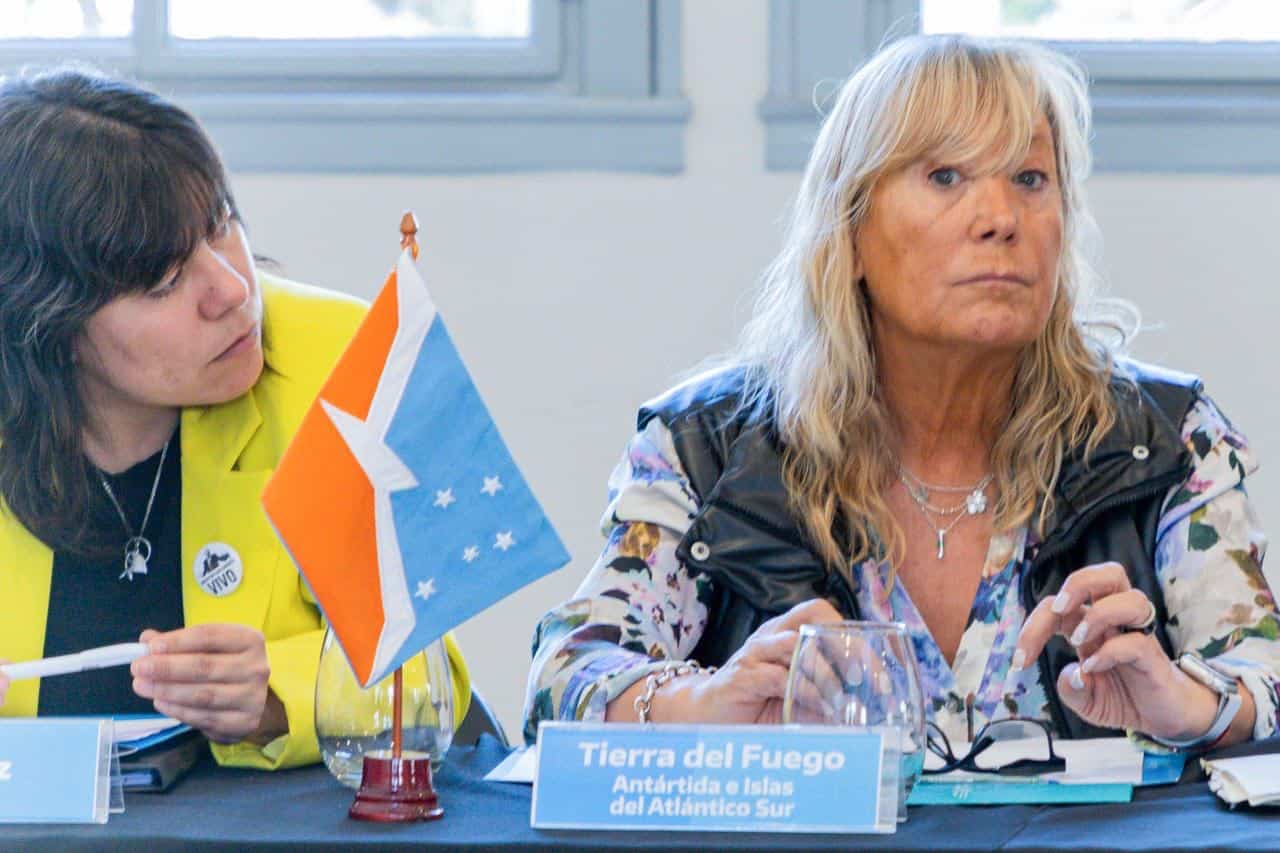 Consejo Federal De Derechos Humanos Diario El Sureño