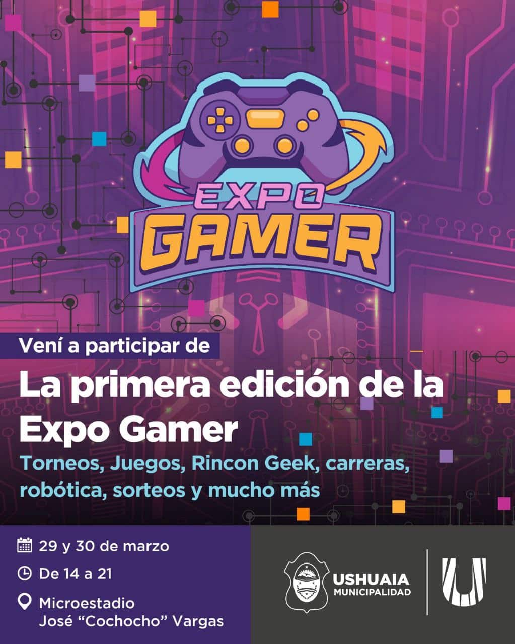 Ushuaia realizará la primera Expo Gamer - Diario El Sureño